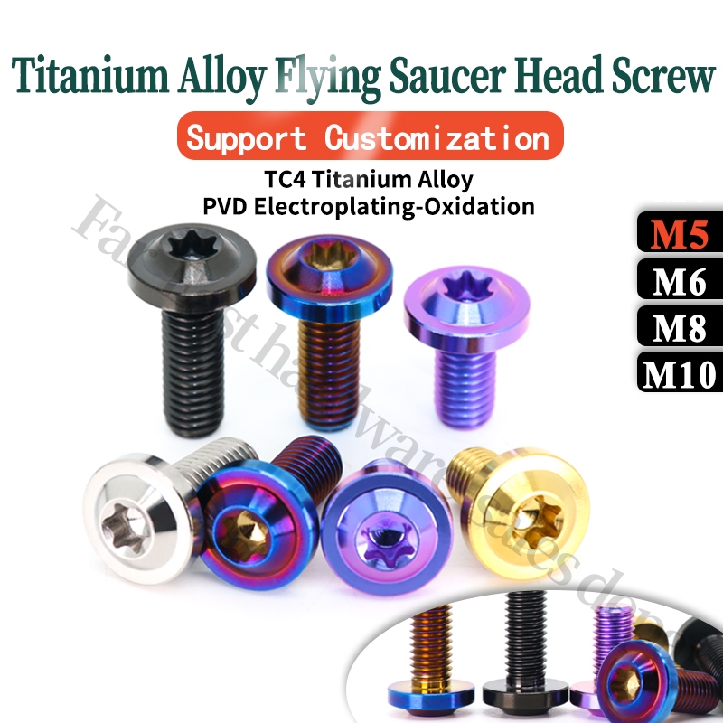 TC4 Titanium Screw Alloy Flying Saucer Head Screw Torx Screws Titanium ...