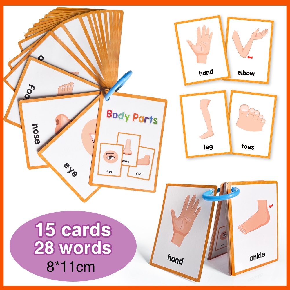 15 Cards Kids Educational Flash Cards Body Parts Vocabulary Words Cards ...