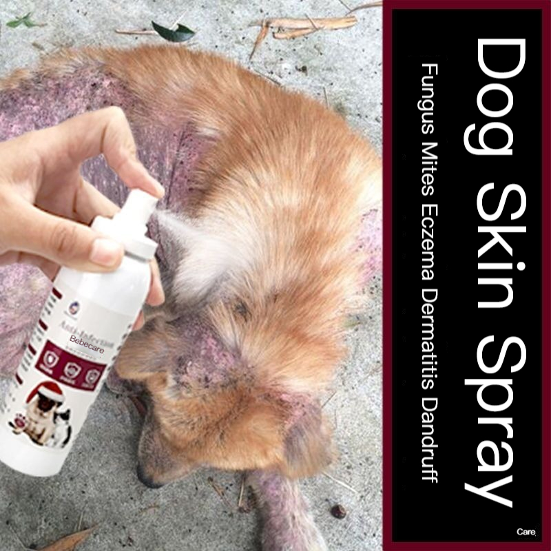 Pet dog skin disease spray fungus mite eczema dermatitis itching ...