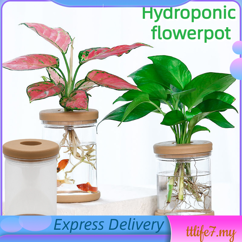【HG】Transparent Hydroponic Flower Pot Imitation Glass Soilless Planting ...