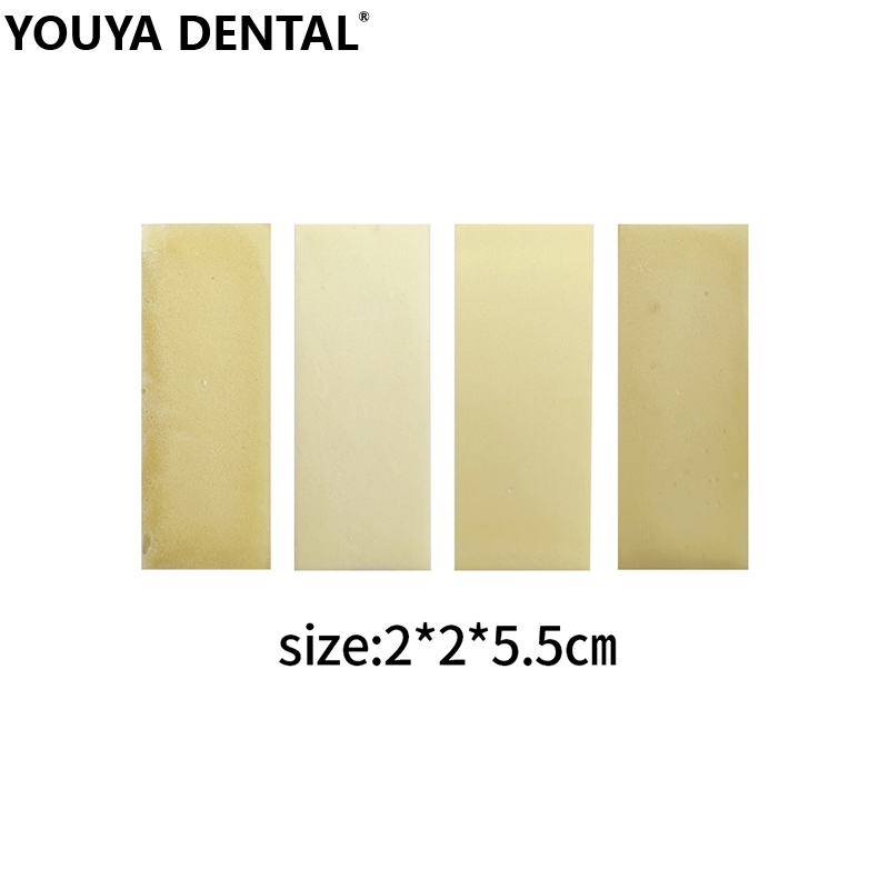 Dentist Student Demonstration Tools Dental Alveolar Jaw Bone Practice ...