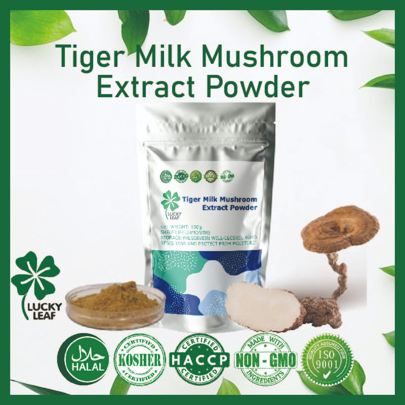 【100g-1000g】Tiger Milk Mushroom Extract Powder | Shopee Malaysia