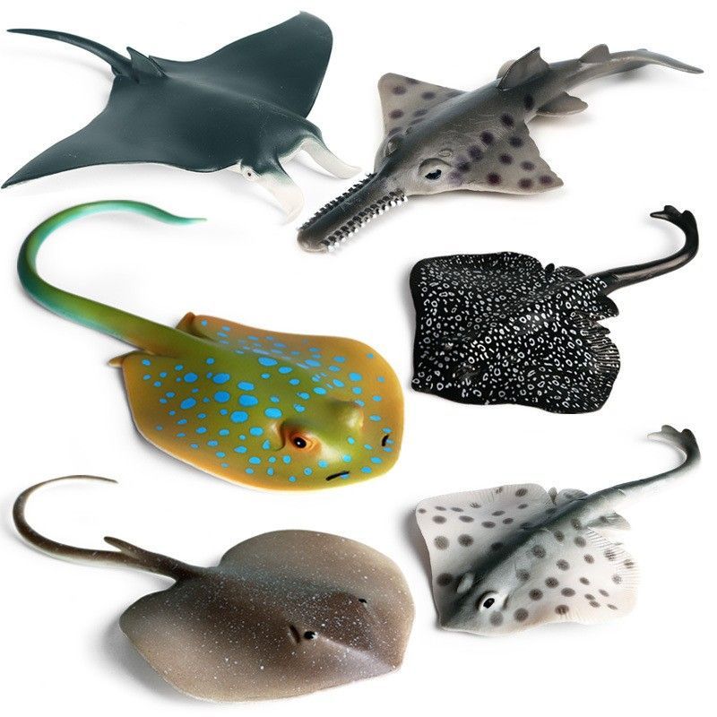 Ocean World Manta Ray Devil Fish Sawfish Guitarfish Children Scientific ...