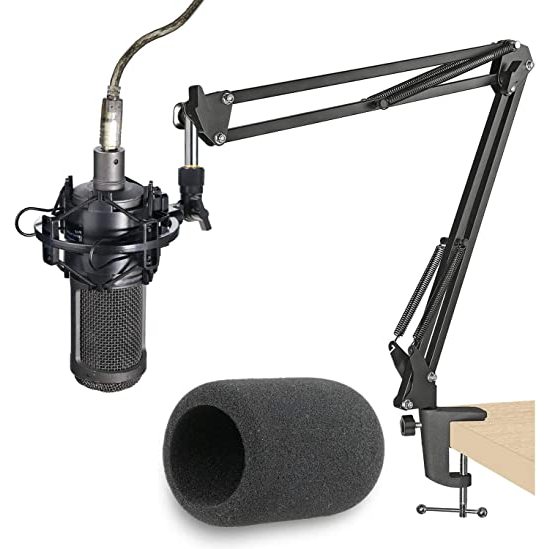 Wanjason AT2020 Mic Stand with Pop Filter - Microphone Boom Arm Stand ...