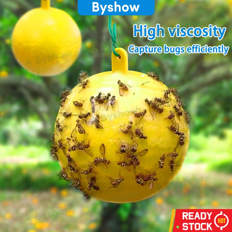 【Byshow】🔥Malaysia In Stock🔥 Sticky Trap Ball Fruit Fly White Flies ...