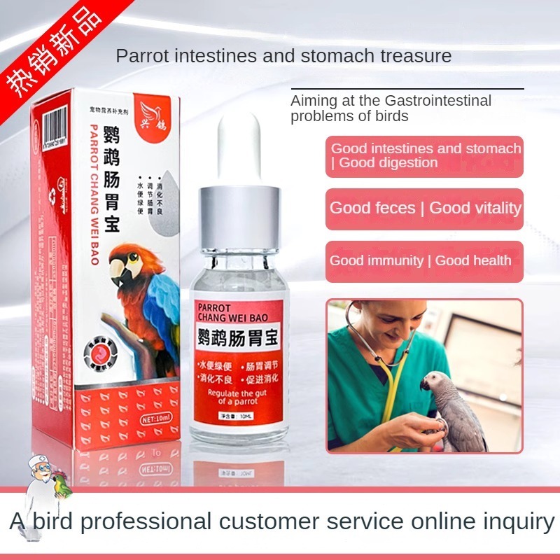 Parrot Gastrointestinal Treasure Drawing Eyebrows Starling Brother ...