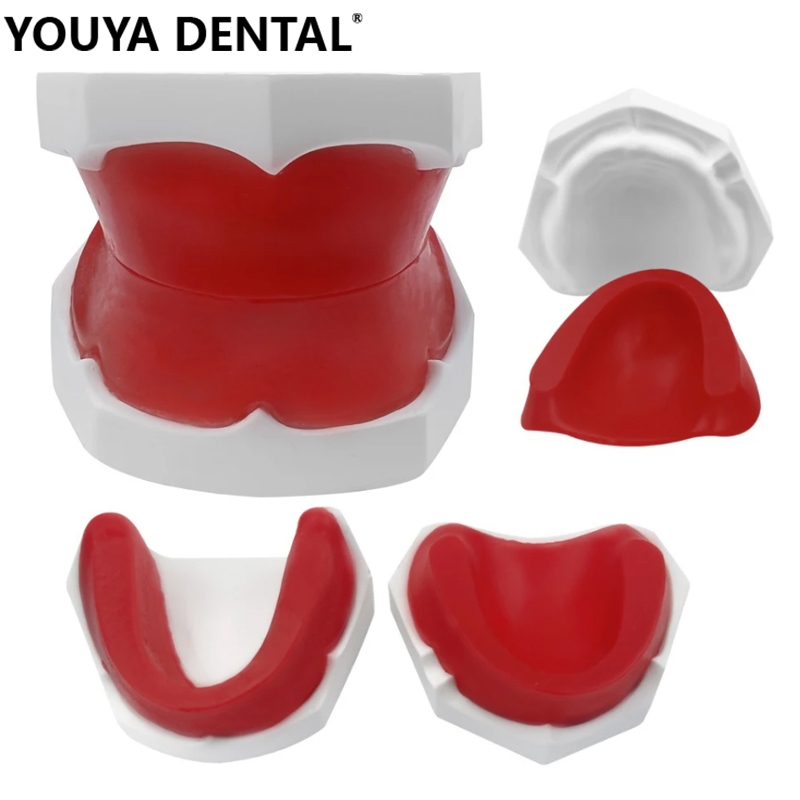 Dental Wax Embankment Model Of Edentulous Jaw Model Soft Wax Plaster ...