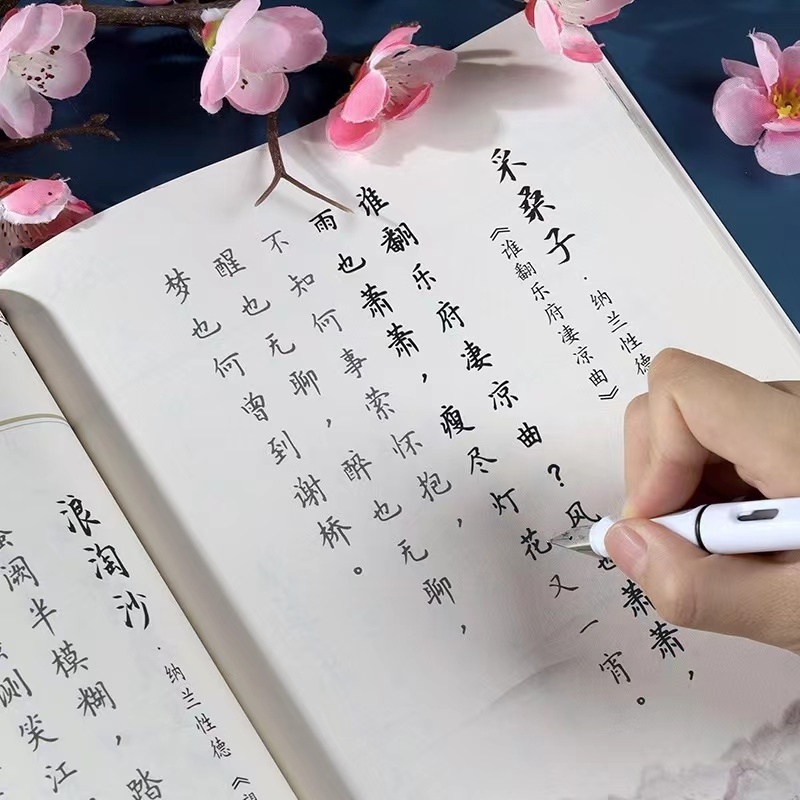 Chinese Calligraphy Practice Book Hanyu Handwriting Book Adult Writing ...