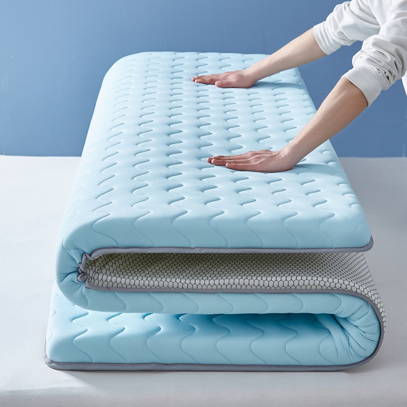Hotel Quality Floor Mattress 2-3CM Sponge Tilam Single/ Queen/King ...