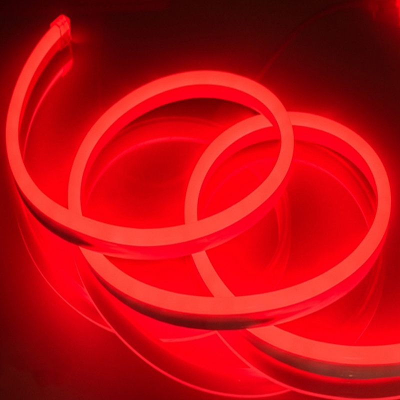 LED Neon Strip Lights Waterproof 220v 8mm comes with a plug for Room ...