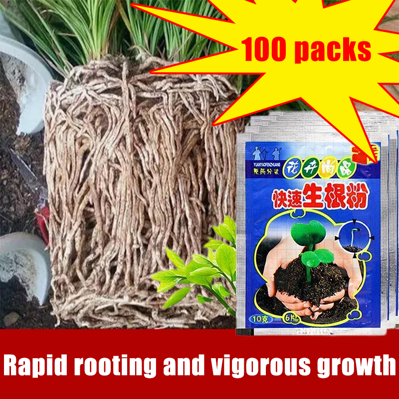 【Crazy Rooting】100 Packs rooting king powder penggalak akar pokok ...