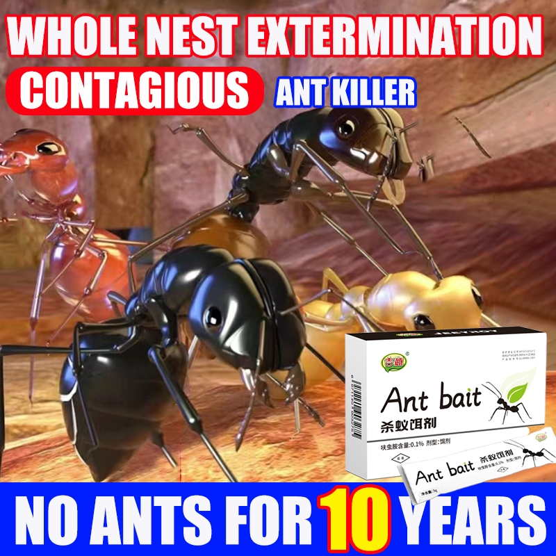 Kill rate up to 100% 10 bags Ant killer Ant bait Ubat semut Racun semut ...