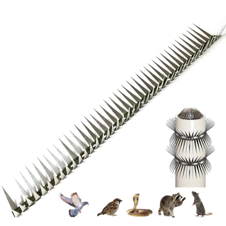 1Mtetikus spikesGarden Fence Wall Spikes Bird Repellent Spikes Bat ...