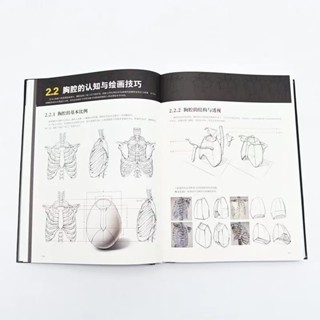 Animation Human Body Structure Expression Techniques Special Training ...