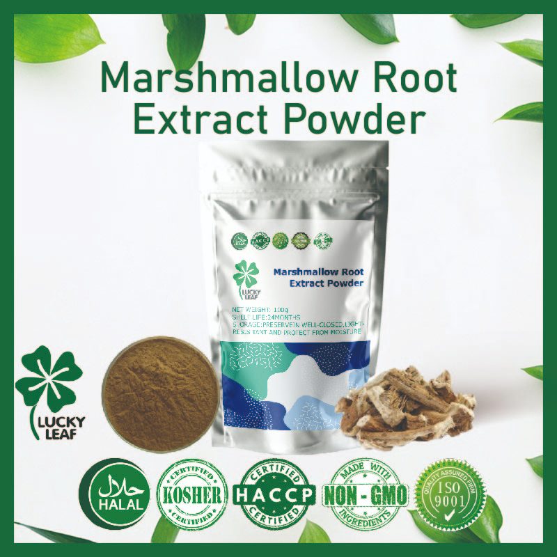 Marshmallow Root Extract Powder/Antioxidant & Inflammation/Health ...