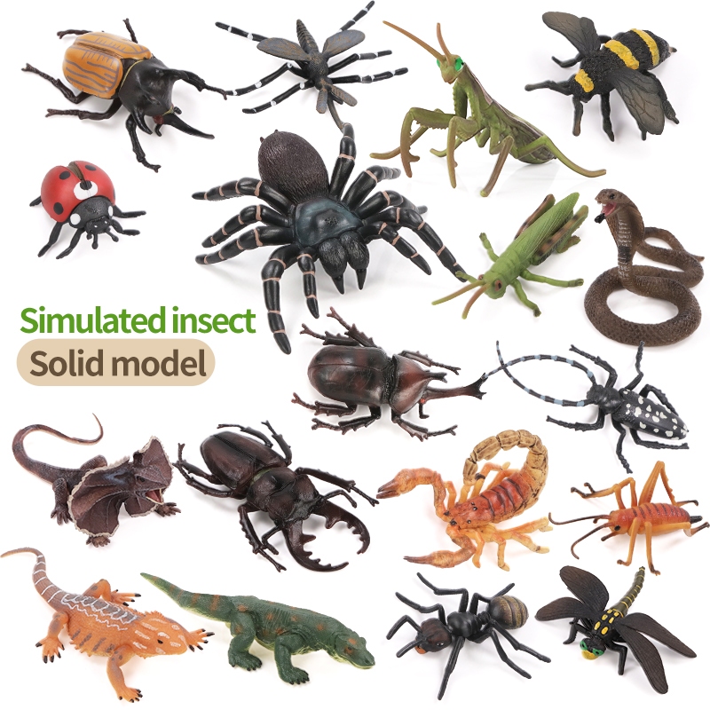 Simulation Insect Wild Animals Model Spider Butterfly Snail Ant Action ...