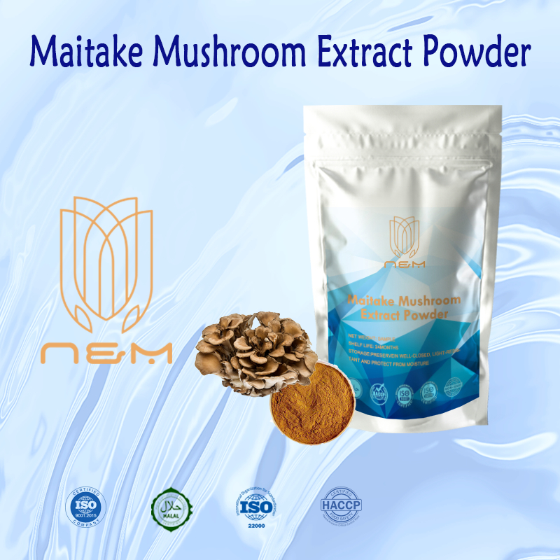 Maitake Mushroom Extract Powder/Help brain development/Antibacterial ...