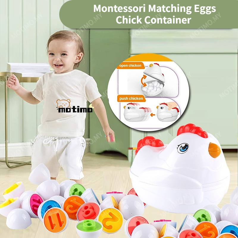 MOTIMO [From MY] Montessori Matching Eggs Chick Container Matching Eggs ...