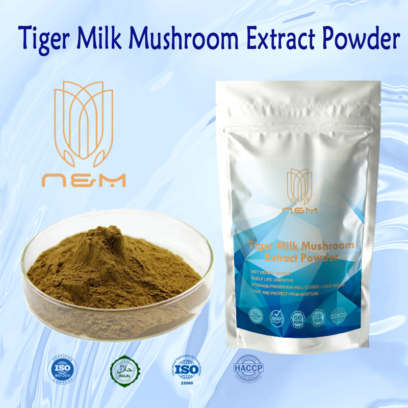 Tiger Milk Mushroom Extract Powder/Promote respiratory health/Relieve ...