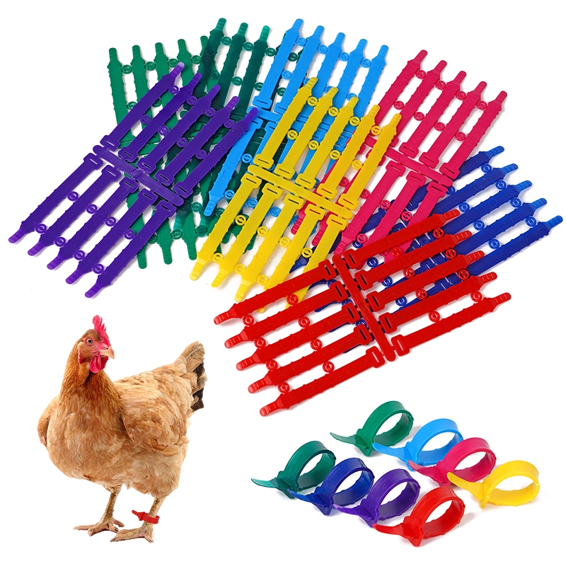 10/50Pcs Adjustable Chicken Foot Ring Chicken coop Poultry ...