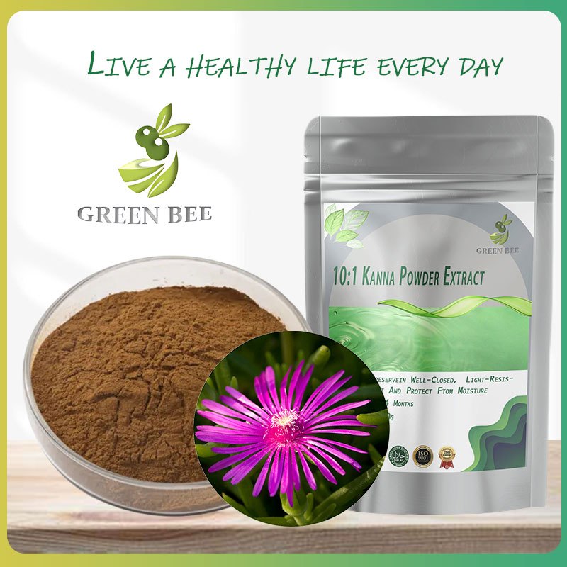 【100-1000g】10:1 Kanna Powder Extract /Sceletium tortuosum Extract ...