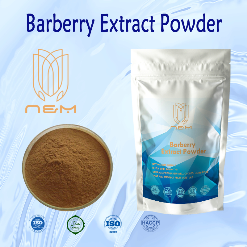Barberry Extract Powder/ Berberine/ Good for digestive system/ Protect ...
