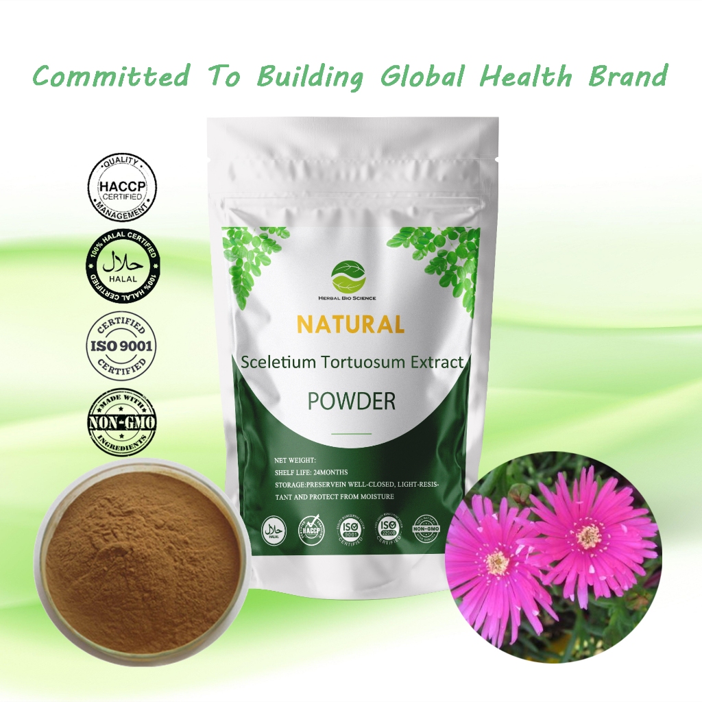 【Natural】Sceletium Tortuosum（Kanna）Extract Powder/Healthy Sleep ...