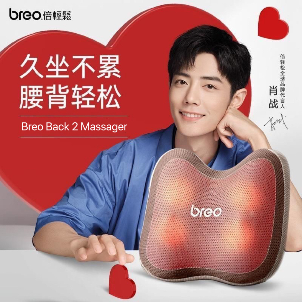 Breo Back 2 Back Massager, Lumbar Massager, Cervical Spine and Back ...