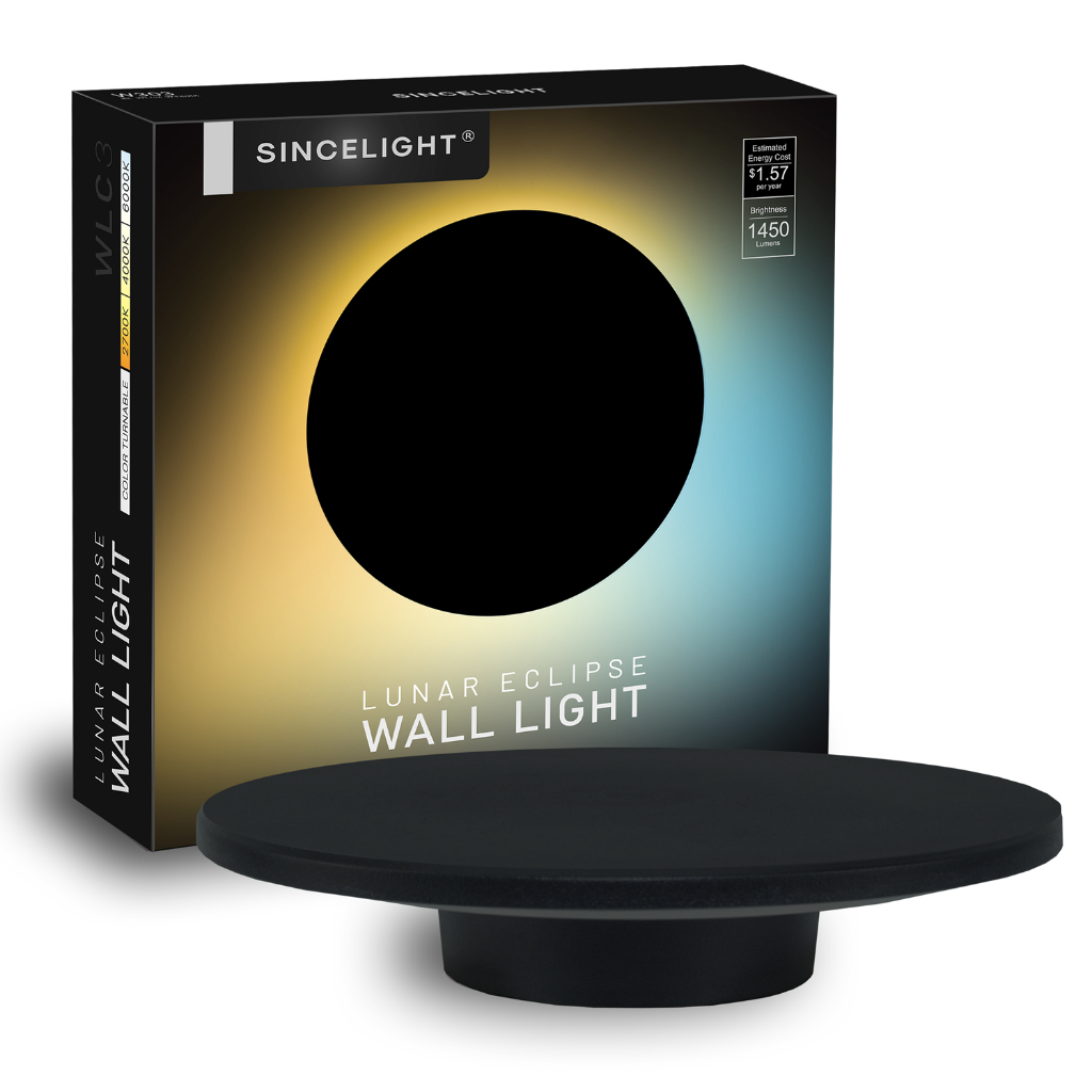SINCELIGHT 13W LED Backlit Illumination Wall Light Fixture Φ220mm, IP65 ...
