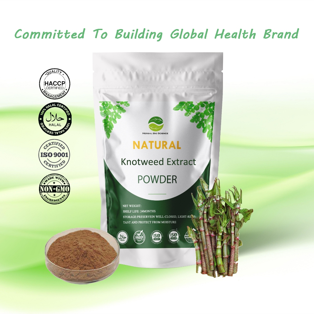 【Natural】Knotweed Extract Powder/Japanese Knotweed/Rich in resveratrol ...
