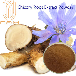 N&M/ Chicory Root Extract Powder/ Relieve constipation/ Digestive ...