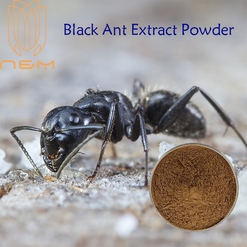 N&M- Black Ant Extract Powder-Enhance physical endurance-Improve male ...