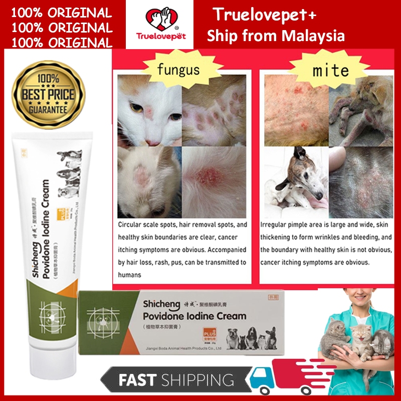 SHICHENG Anti Fungus Cream 20g for Dogs & Cats Ubat Kurap Kucing Paling ...