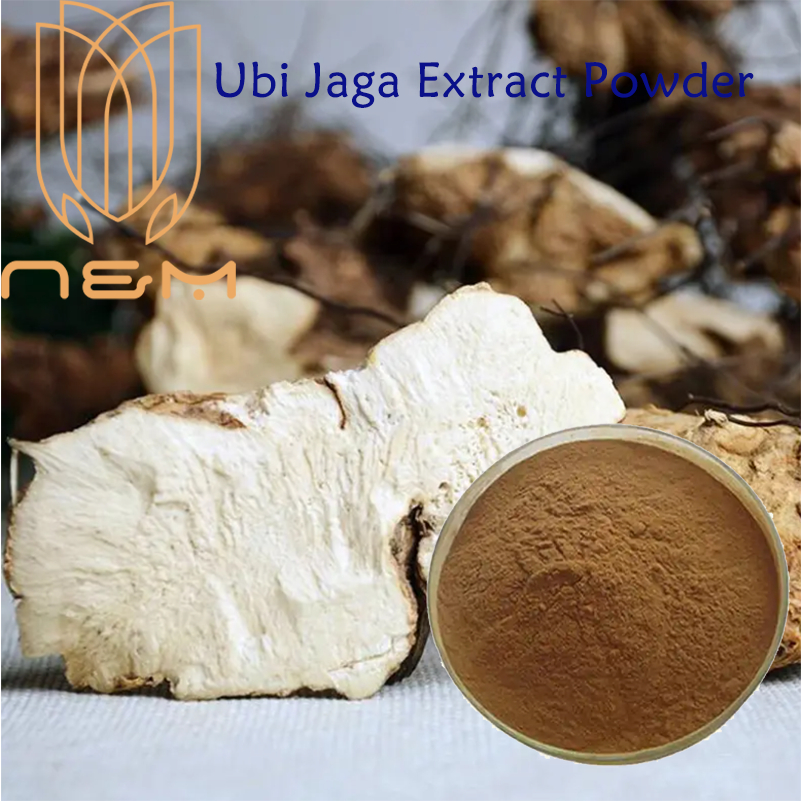 N&M/ Ubi Jaga Extract Powder/ Boost Male Energy/ 100g-1kg/ Kosher&HALAL ...