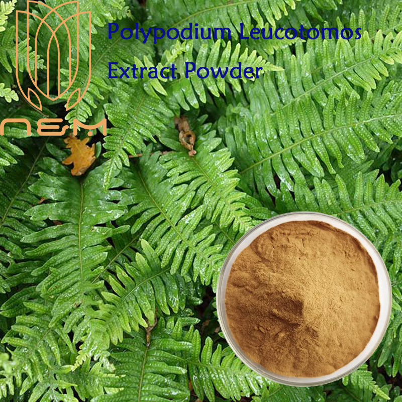 N&M/ Polypodium Leucotomos Extract Powder / Kalawalla/ Prevent sunburn ...