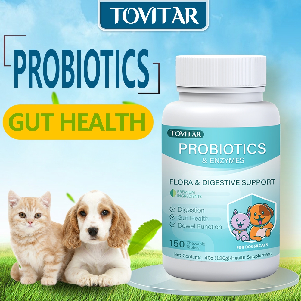 Probiotic supplements for cats and dogs regulate stomach and increase ...