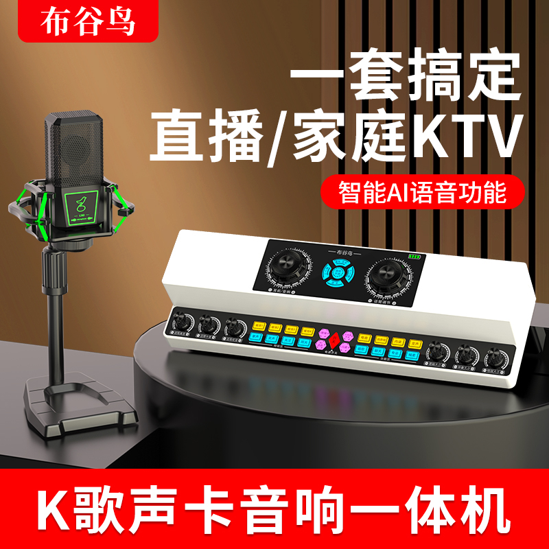 Cuckoo Y6 Live Singing Sound Card Audio Integrated Machine Indoor ...
