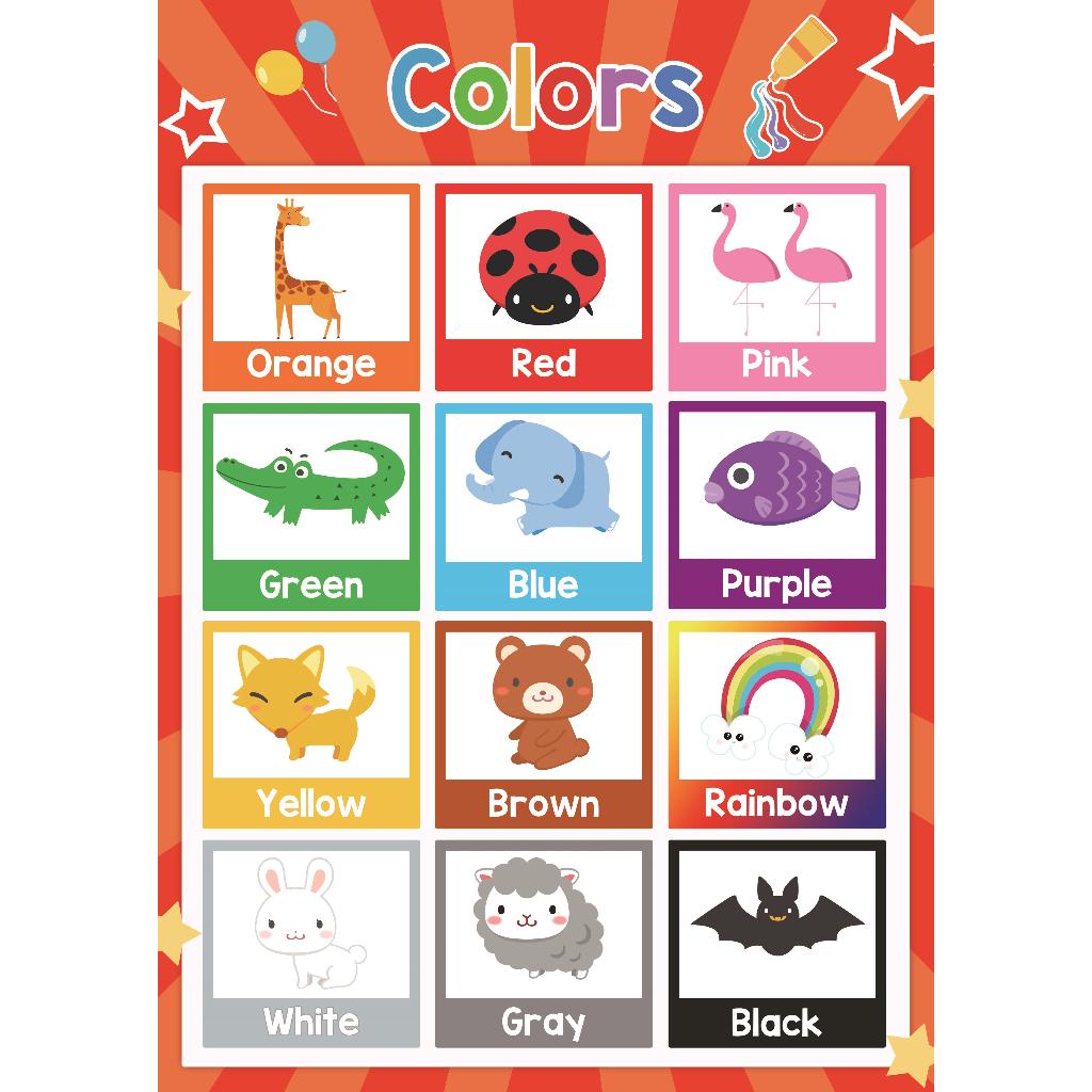 Educational Posters English Classified Words Children's Classroom ...