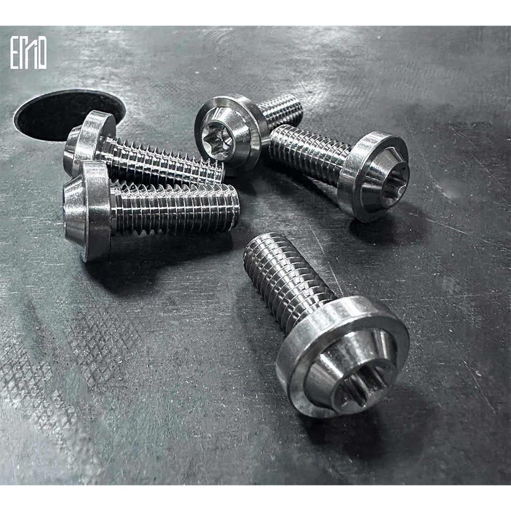 Rear Disk Titanium Alloy Screws 10 Pieces MOC For Breakout / Softail ...