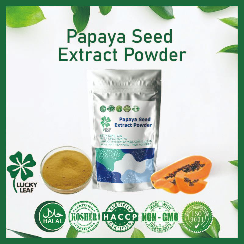 Papaya Seed Extract Powder/Good for skin/Healthy Gut/Lowers Cholesterol ...