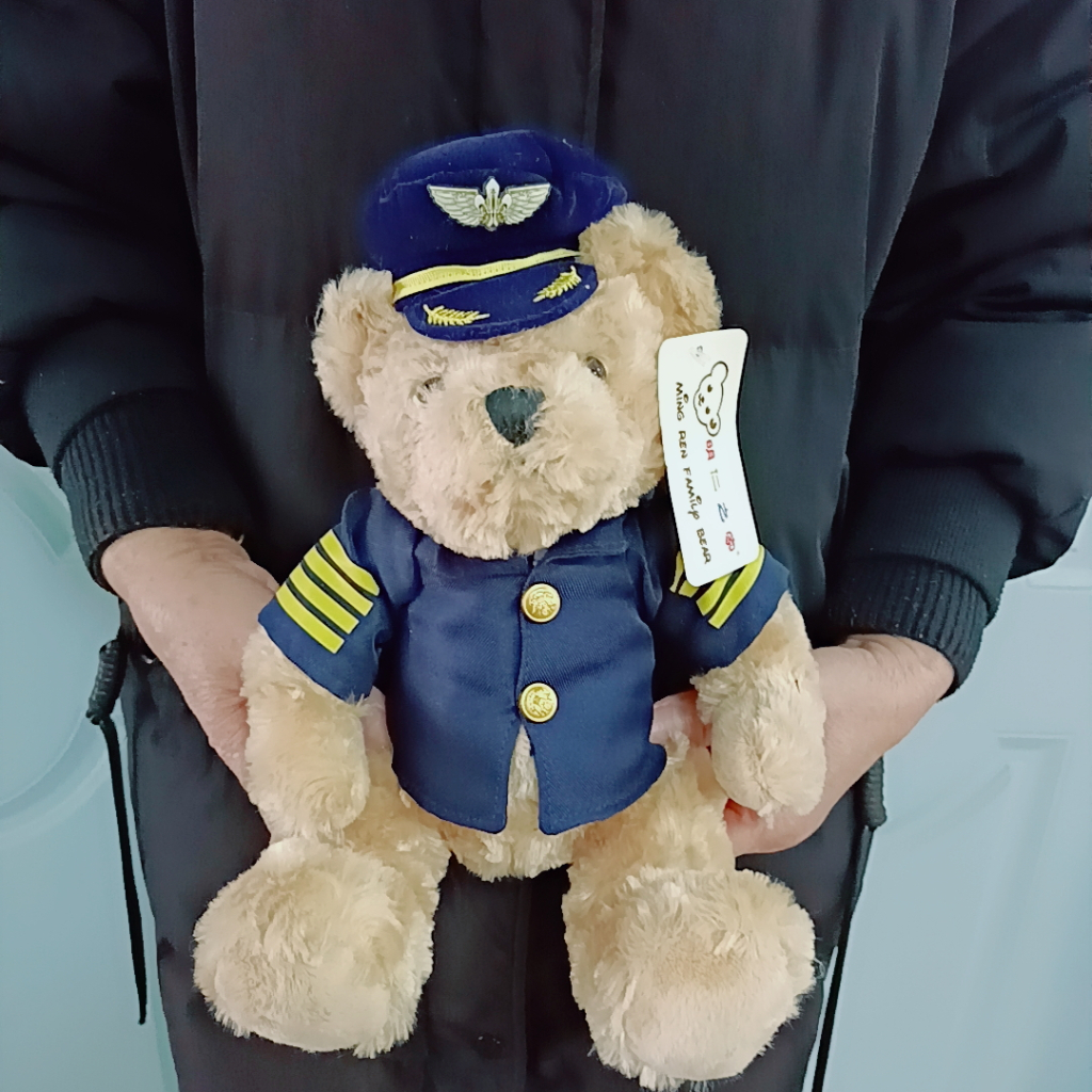 25cm Pilot Teddy Bear Plush Toy Captain Bear Flight Attendant Doll ...