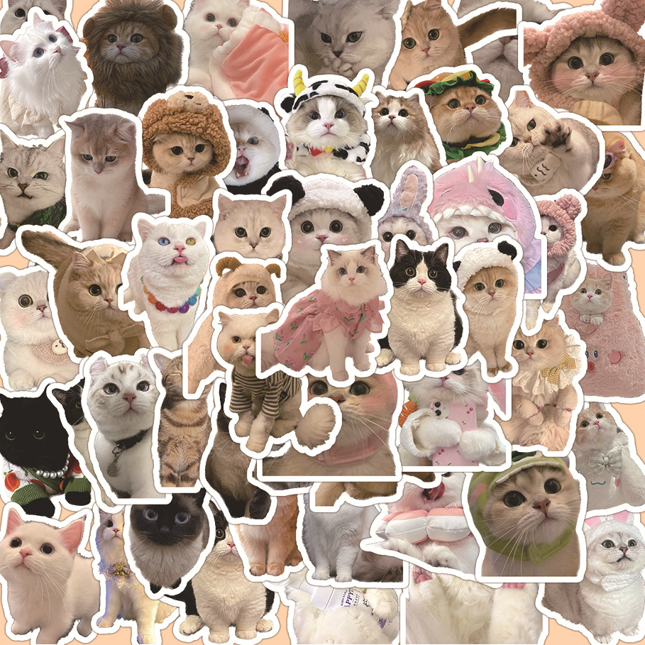 63 Sheets Special-Shaped Dog Cat Stickers Cute Realistic Kitten ins ...