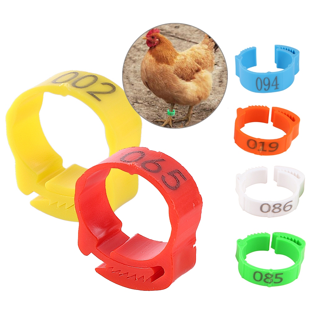 10Pcs Chicken Foot Ring Adjustable Size Poultry Leg Digital Label ...