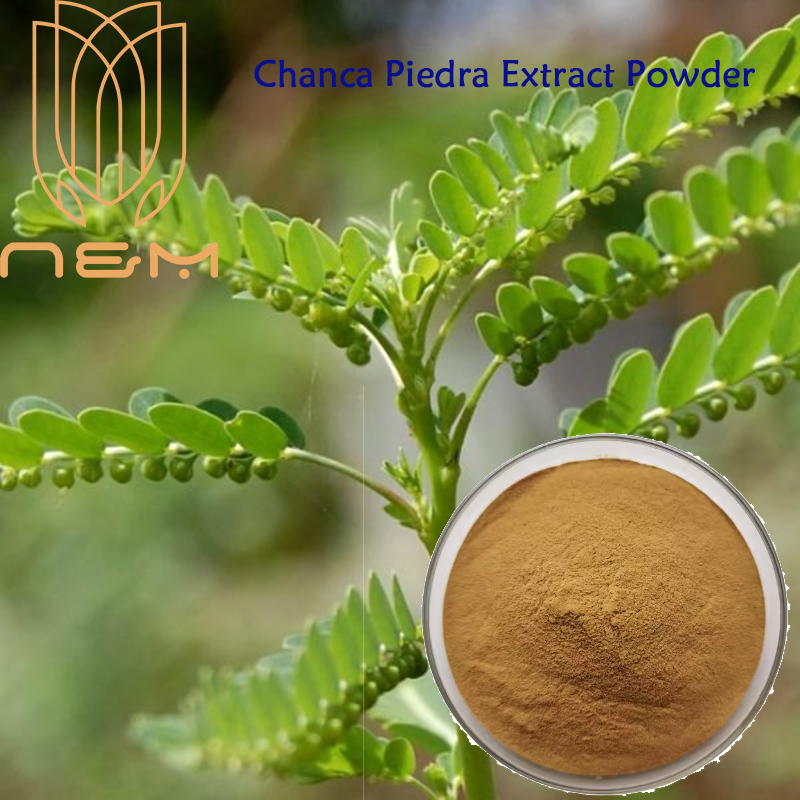 N&M/ Chanca Piedra Extract Powder/ Phyllanthus Niruri/ Kidney Cleanse ...