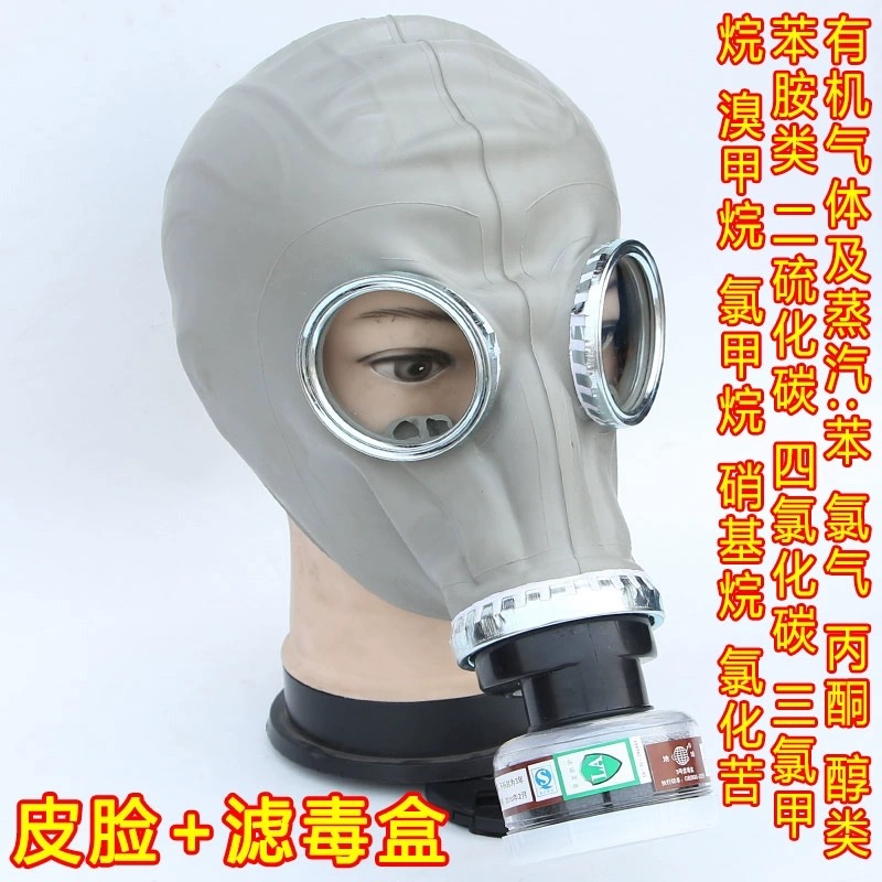《Fast Delivery》High Quality All-round Protection Gas Mask Spray Paint ...