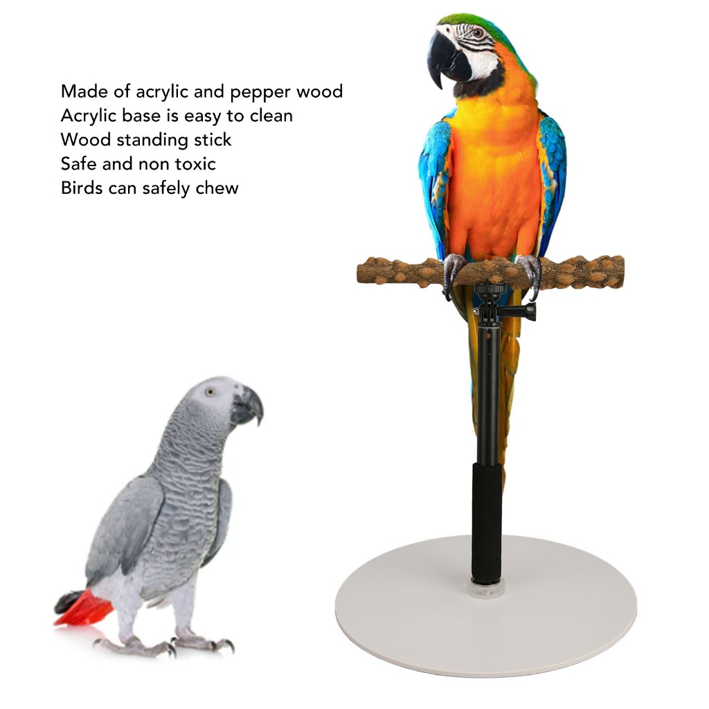 1qiwan Adjustable Bird Perch Portable Detachable Parrot Play Stand for ...