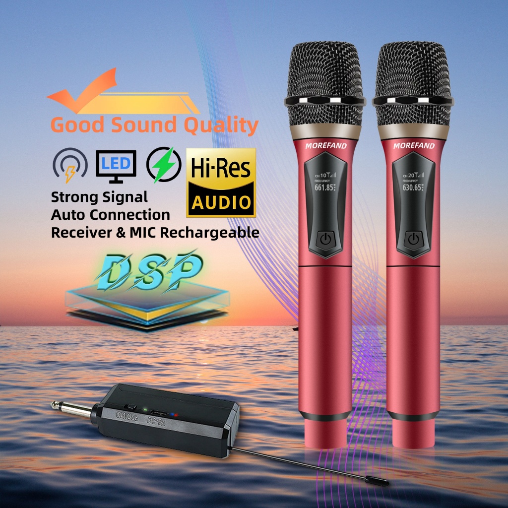 MOREFAND Uhf Wireless Microphone Dual Microphone Microphone Receiver ...