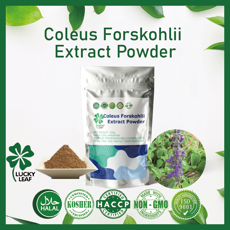 Coleus Forskohlii Extract Powder/Forskolin/Coleonol-HALAL&KOSHER ...