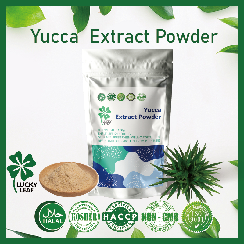 Yucca Extract Powder/Benefits Immunity, Skin & Joints-HALAL&KOSHER ...