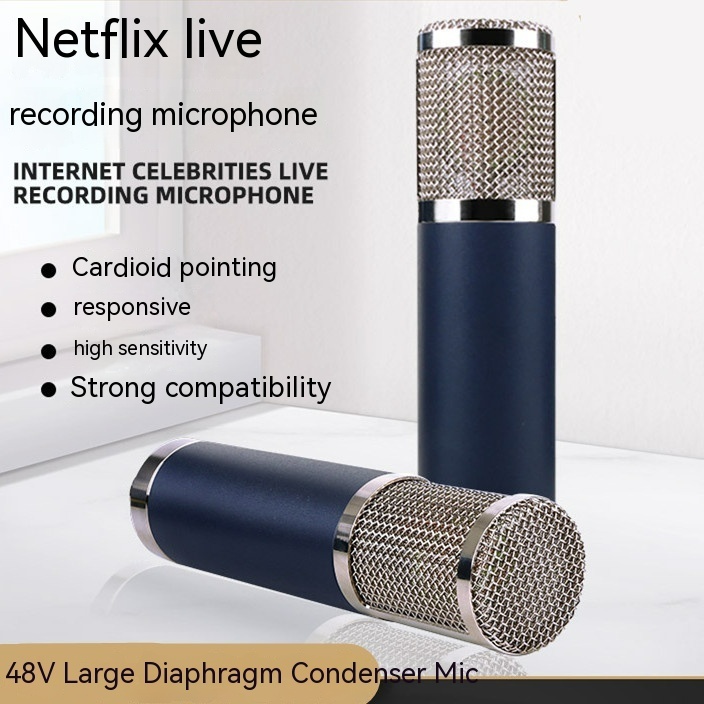 F22 48V Professional Live Recording Wired Condenser Microphone Large ...